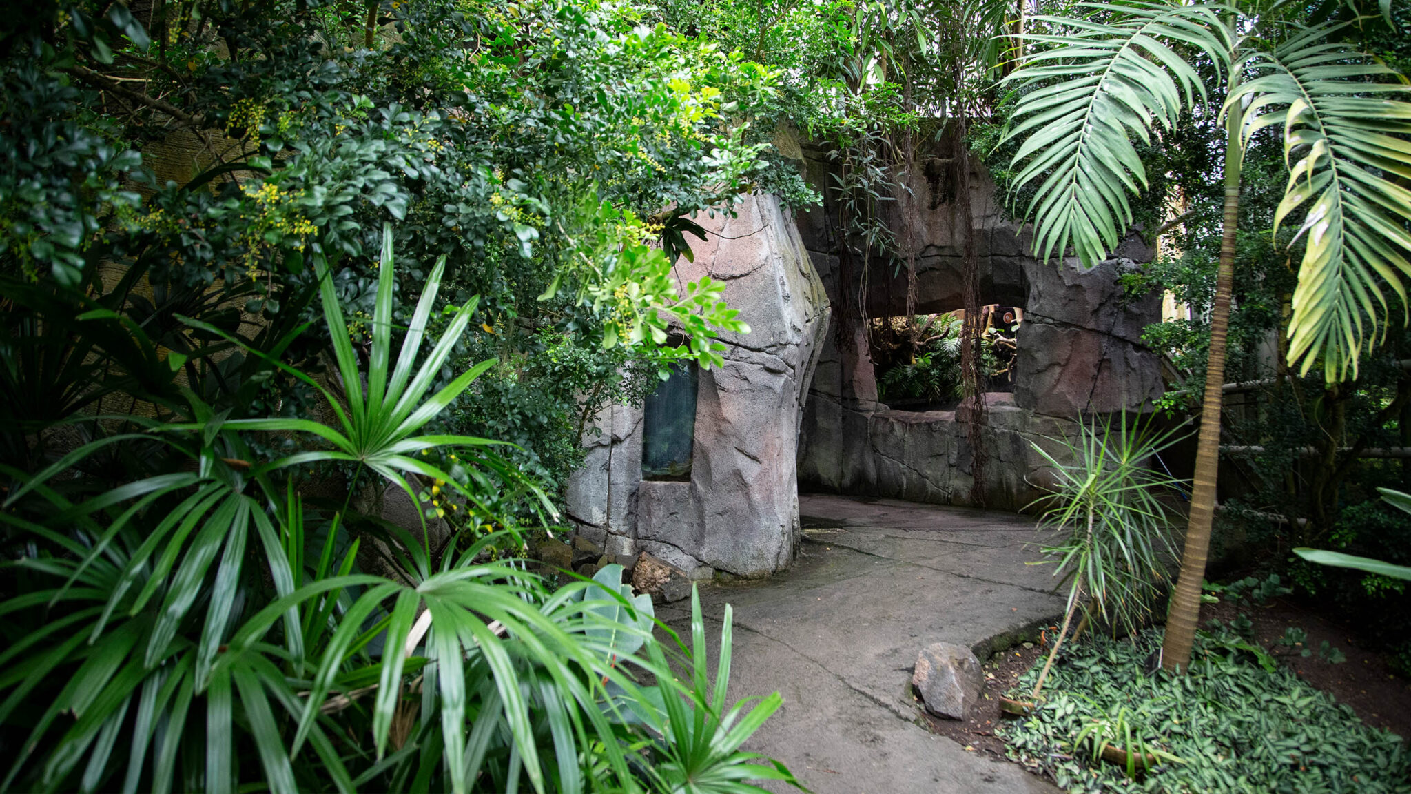 Accessibility - Korkeasaari