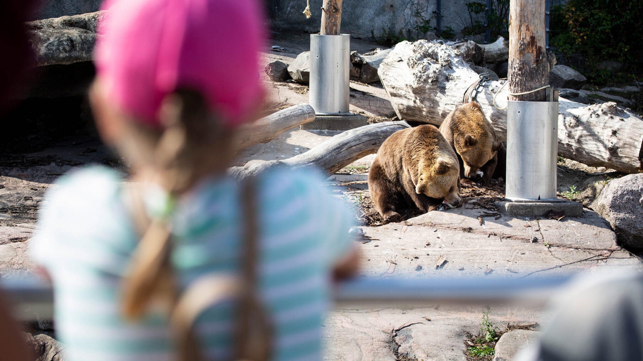 Tapahtumat ja kausiohjelma – Korkeasaari