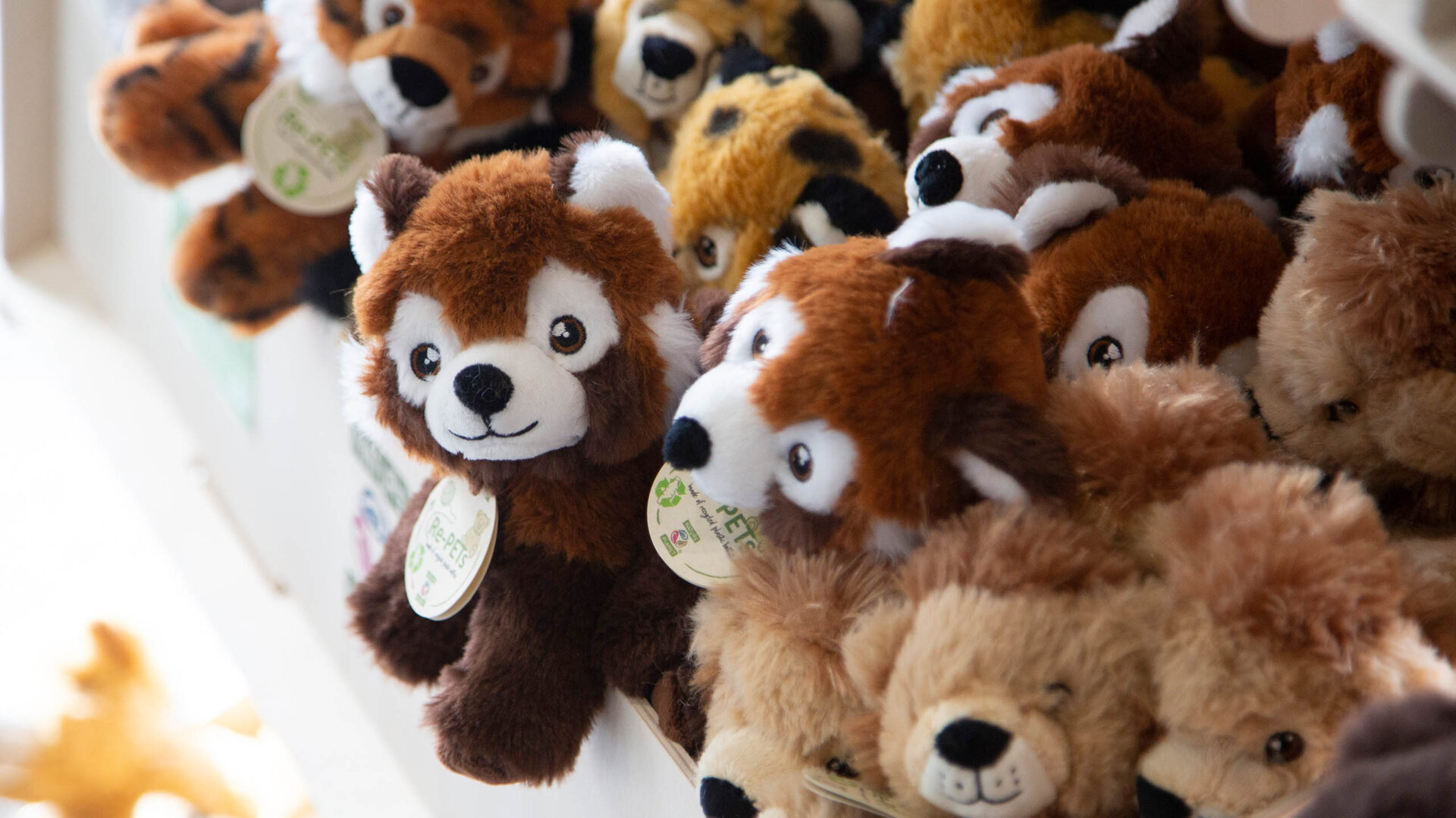 Korkeasaari K18 – Korkeasaari