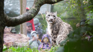 Korkeasaaren eläintarha – tervetuloa eläinten saarelle!