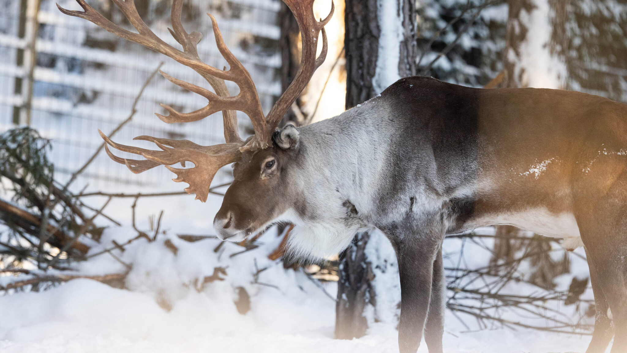 Etusivu - Korkeasaari