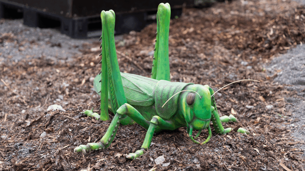 Suurenmoiset ötökät saapuvat Korkeasaareen - Korkeasaari