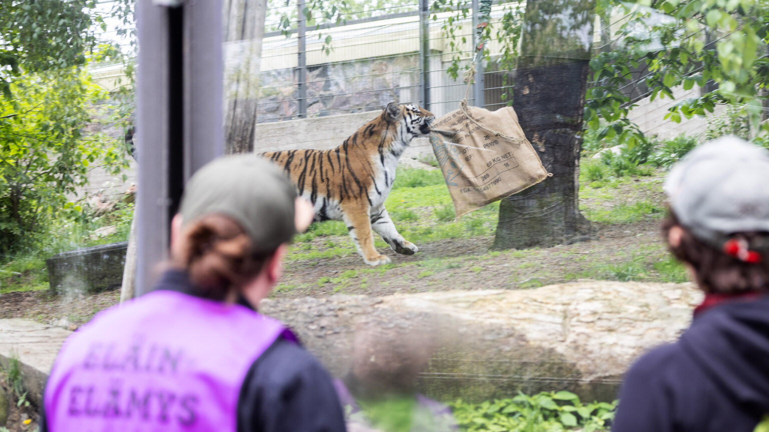 Korkeasaari Zoo - Island of Animals
